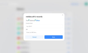 ENS Essentials: How to Set Domain Records and Create a Brand Profile | Netidex