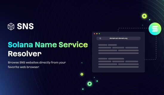 SNS Essentials: How to Setup a Domain and Resolve Your Website | Netidex